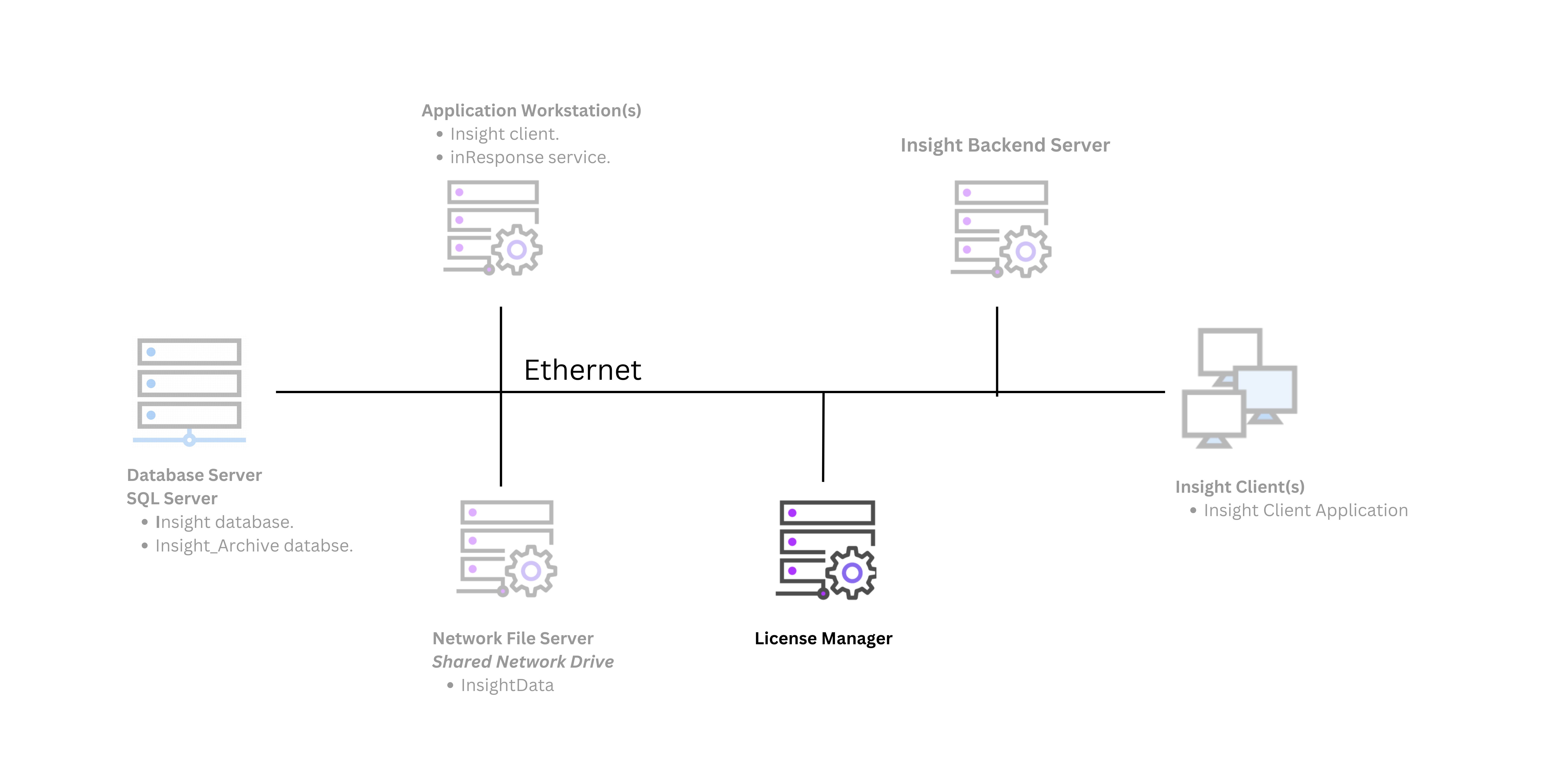 Install Network License – Insight